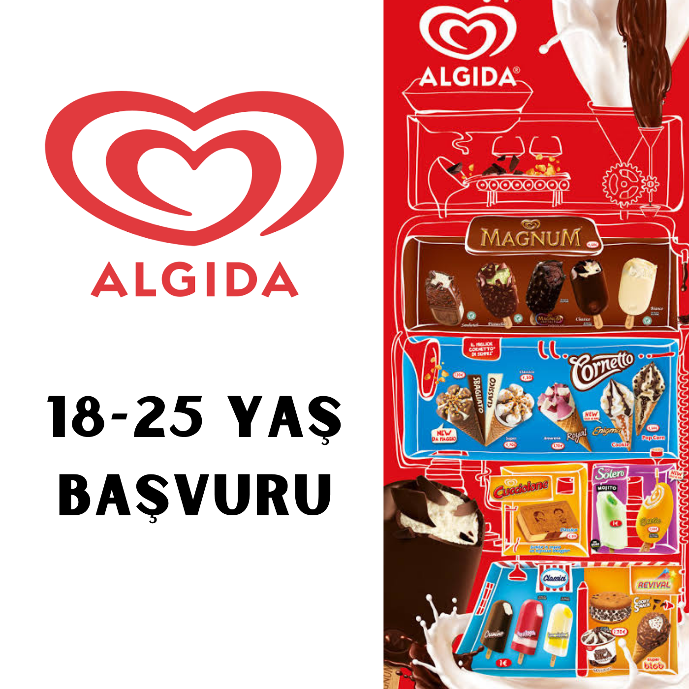 Layla Şirin - ALGİDA